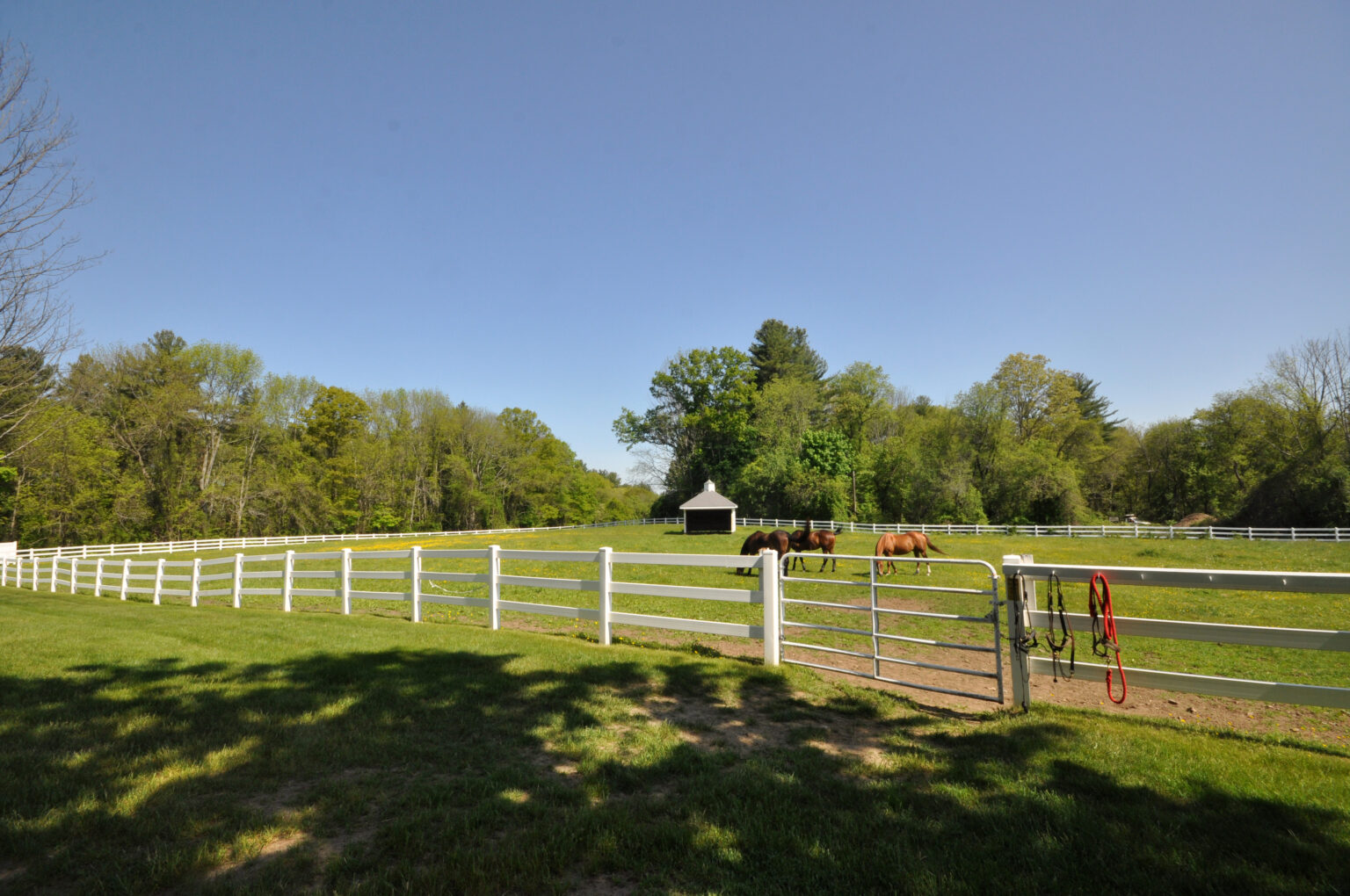 Coming Soon to Huckins Farm in Bedford ~ Now SOLD! - Huckins Farm